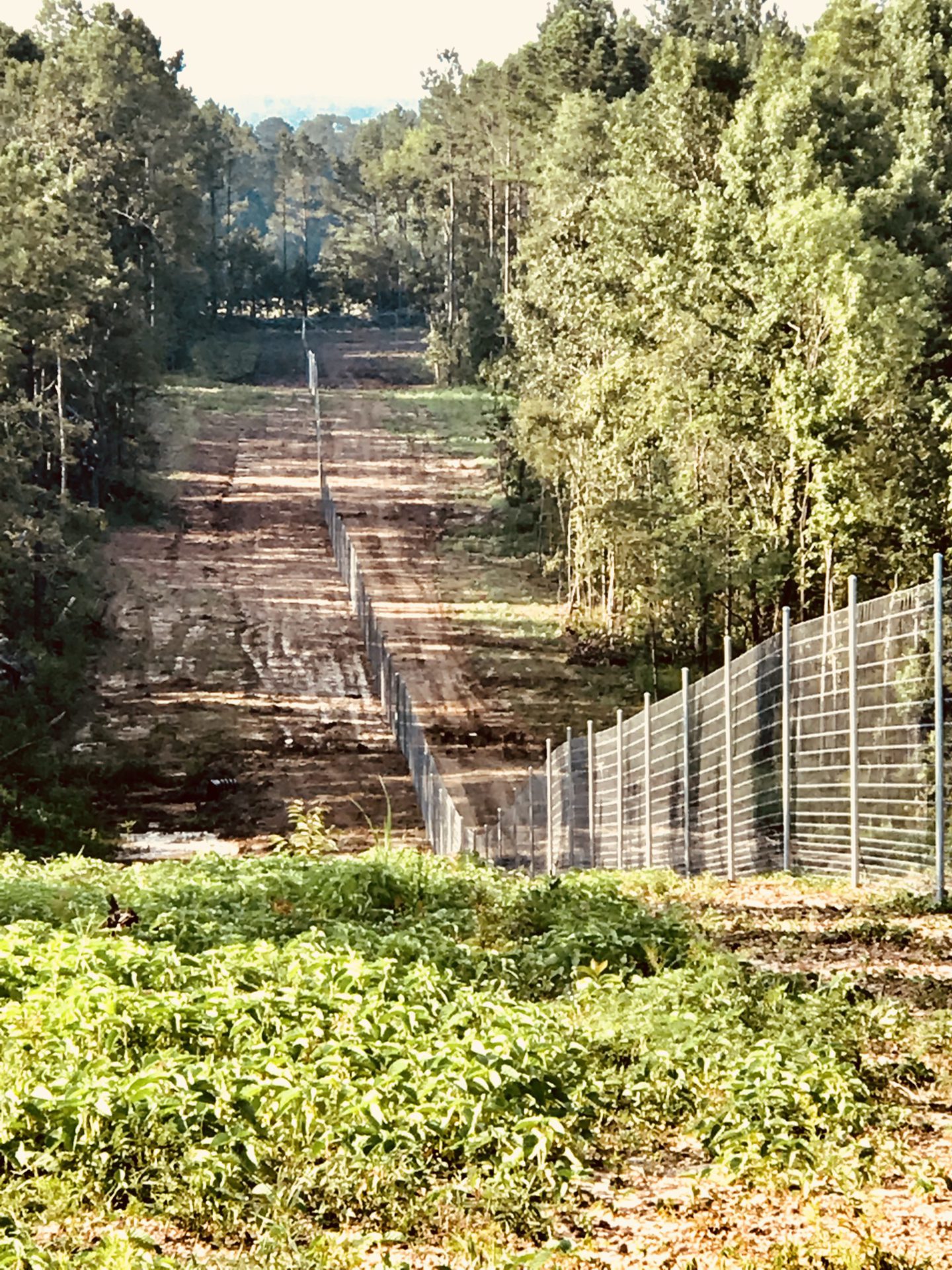 Bo Pierce - Alabama Game Fence