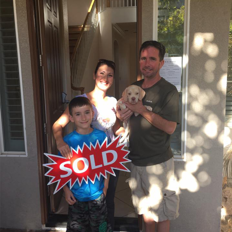 Sharon Geier - RE/MAX ONE