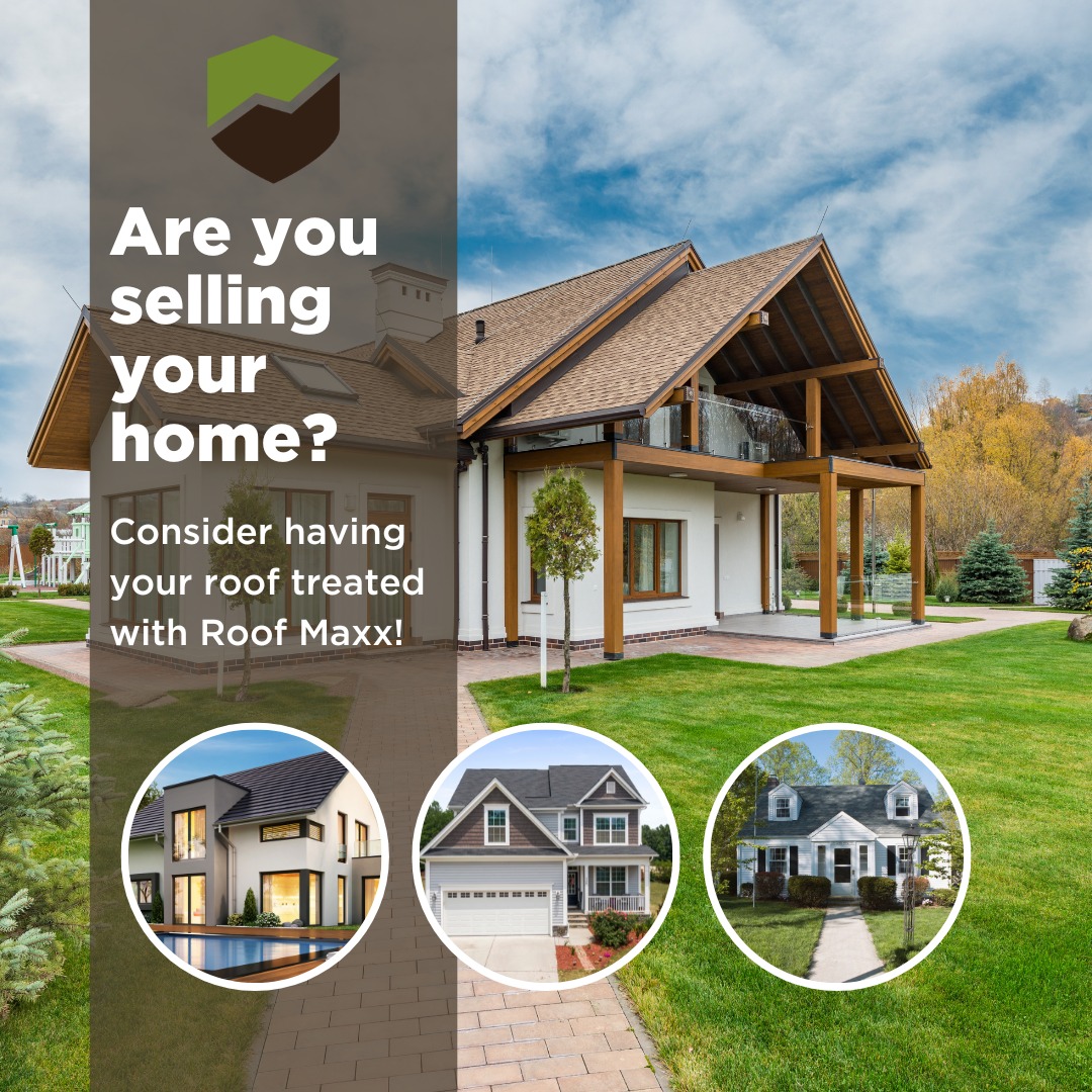 Joel Davis - ROOF MAXX